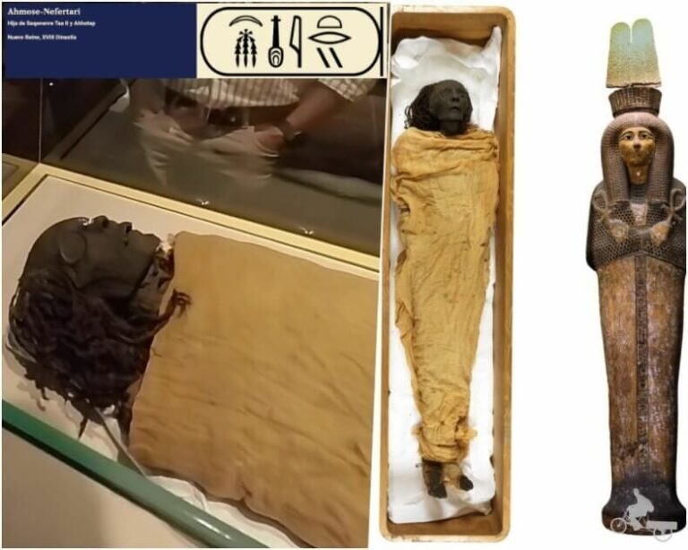 Momias egipcias reales del nuevo museo de El Cairo NMEC