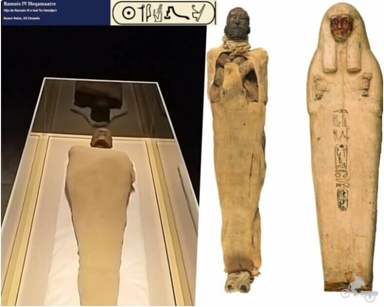 Momias egipcias reales del nuevo museo de El Cairo NMEC