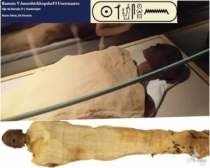 Momias egipcias reales del nuevo museo de El Cairo NMEC