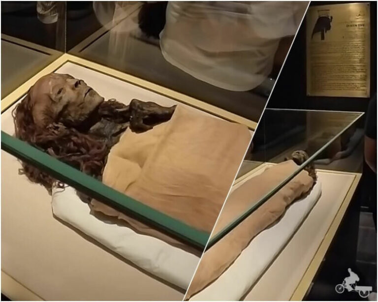 Momias egipcias reales del nuevo museo de El Cairo NMEC