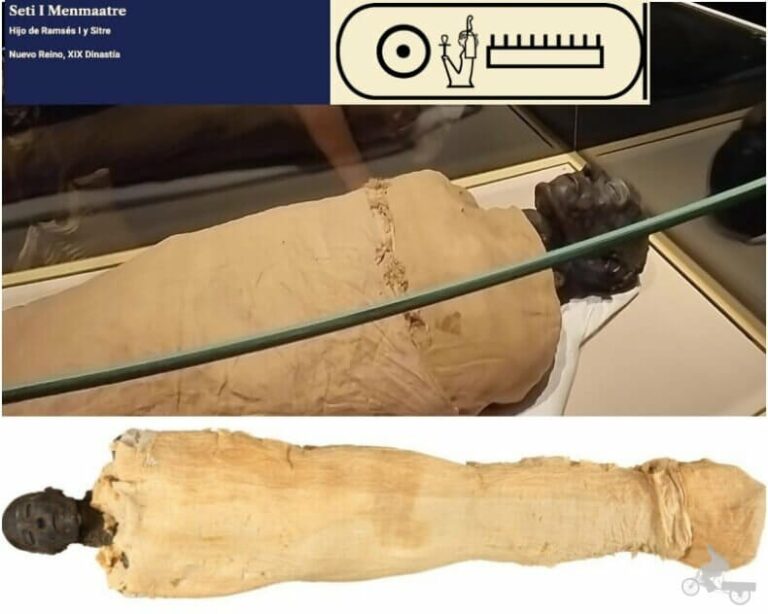 Momias egipcias reales del nuevo museo de El Cairo NMEC